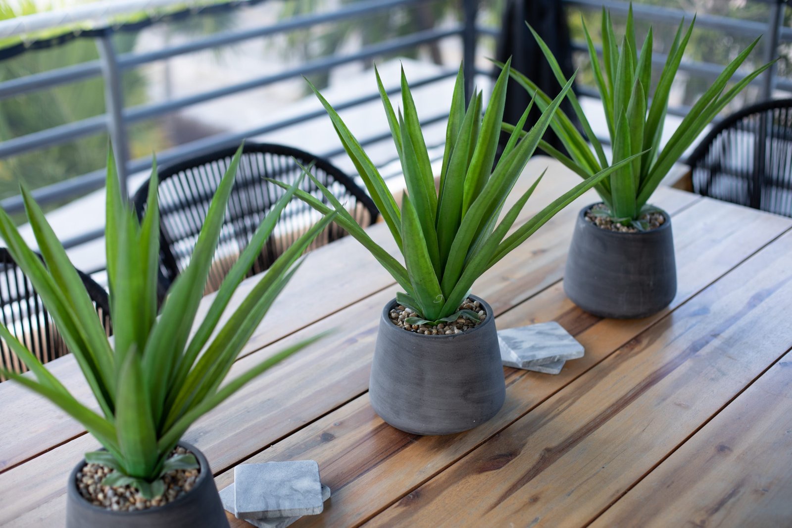 Atlantis House - Main Residence