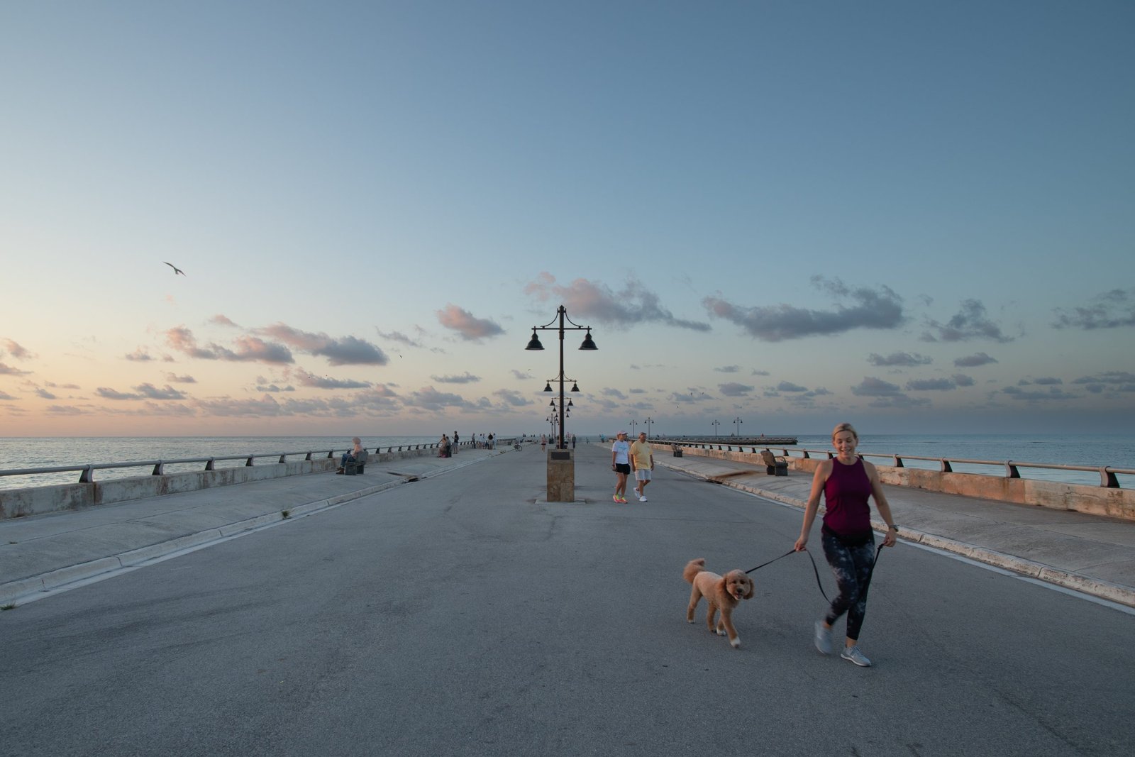 Atlantis House Palm Suite - Atlantis House Palm Suite